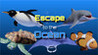Escape to the Ocean | Minimap
