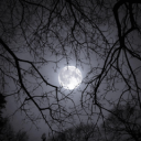 Minimap - Your Ultimate Gaming Companion